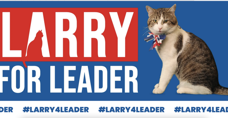 Larry4Leader: кота Ларри «выдвинули» на пост премьер-министра ...
